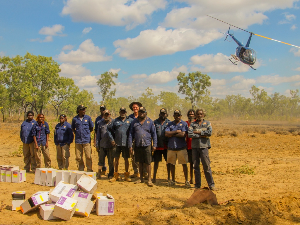 Sustainable Traveller - Webjet